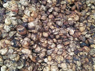 BEAMA Logistics Ghana Limited